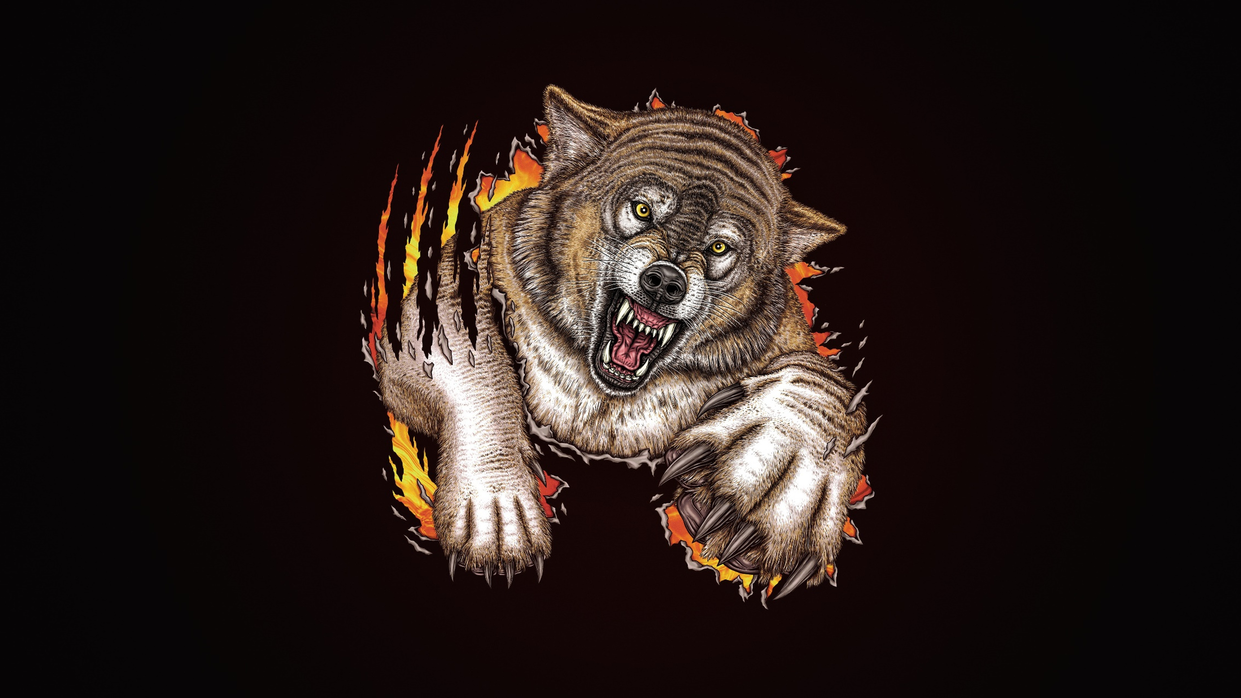 2560x1440 Wolf Minimal Art 1440P Resolution ,HD 4k Wallpapers,Images ...