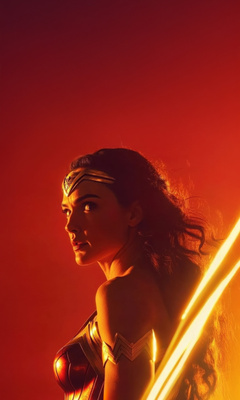 240x400 Wonder Woman Stands Tall Acer E100,Huawei,Galaxy S Duos,LG 8575 ...