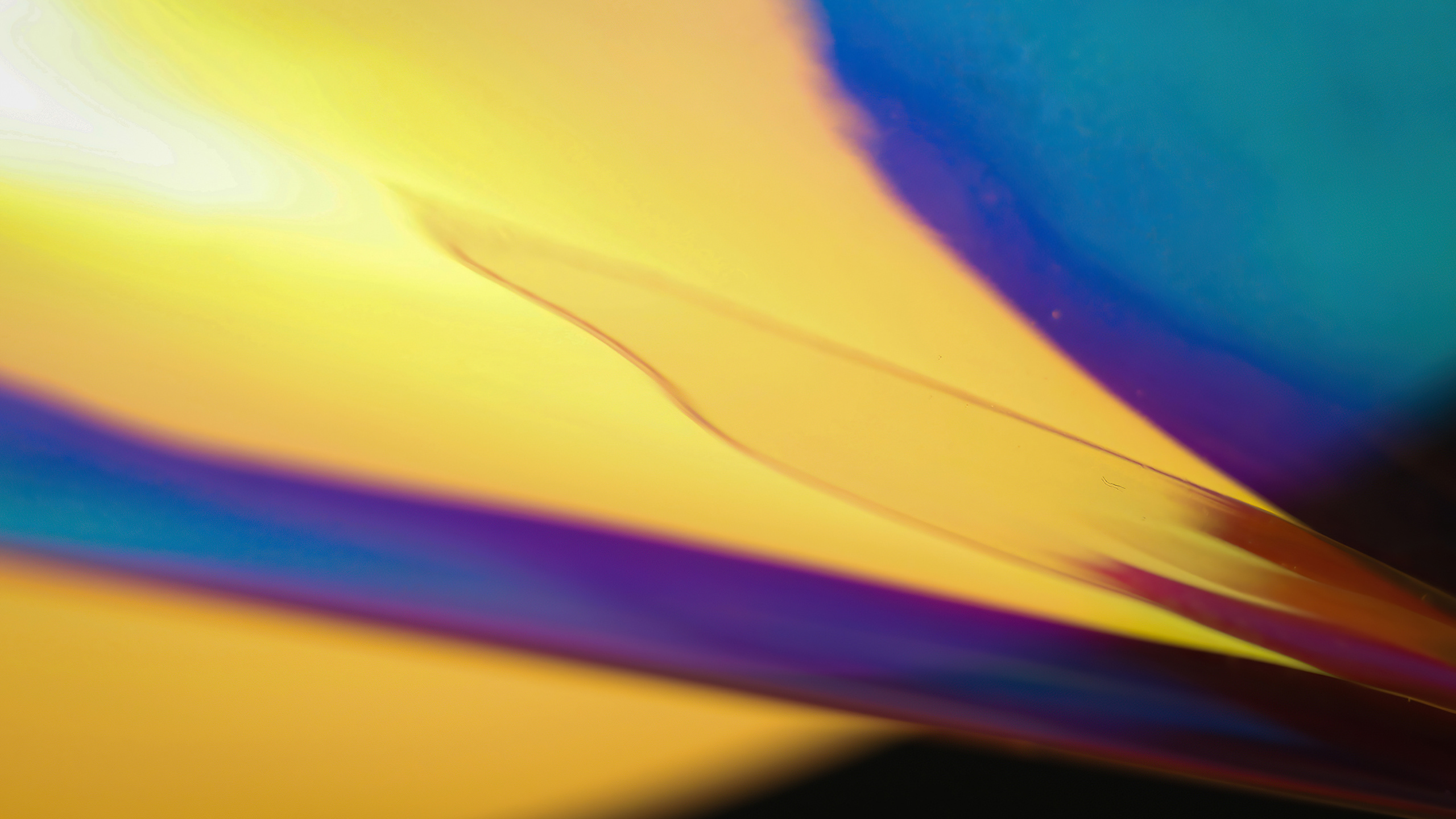 2560x1440 Yellow Colour Abstract 4k 1440P Resolution ,HD 4k Wallpapers ...