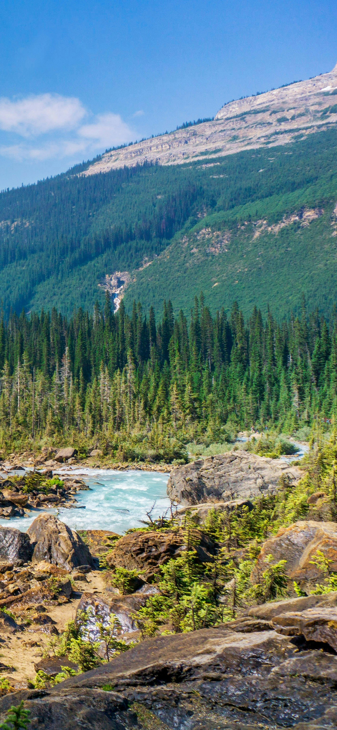 1125x2436 Yoho National Park Field Canada Iphone XS,Iphone 10,Iphone X ...
