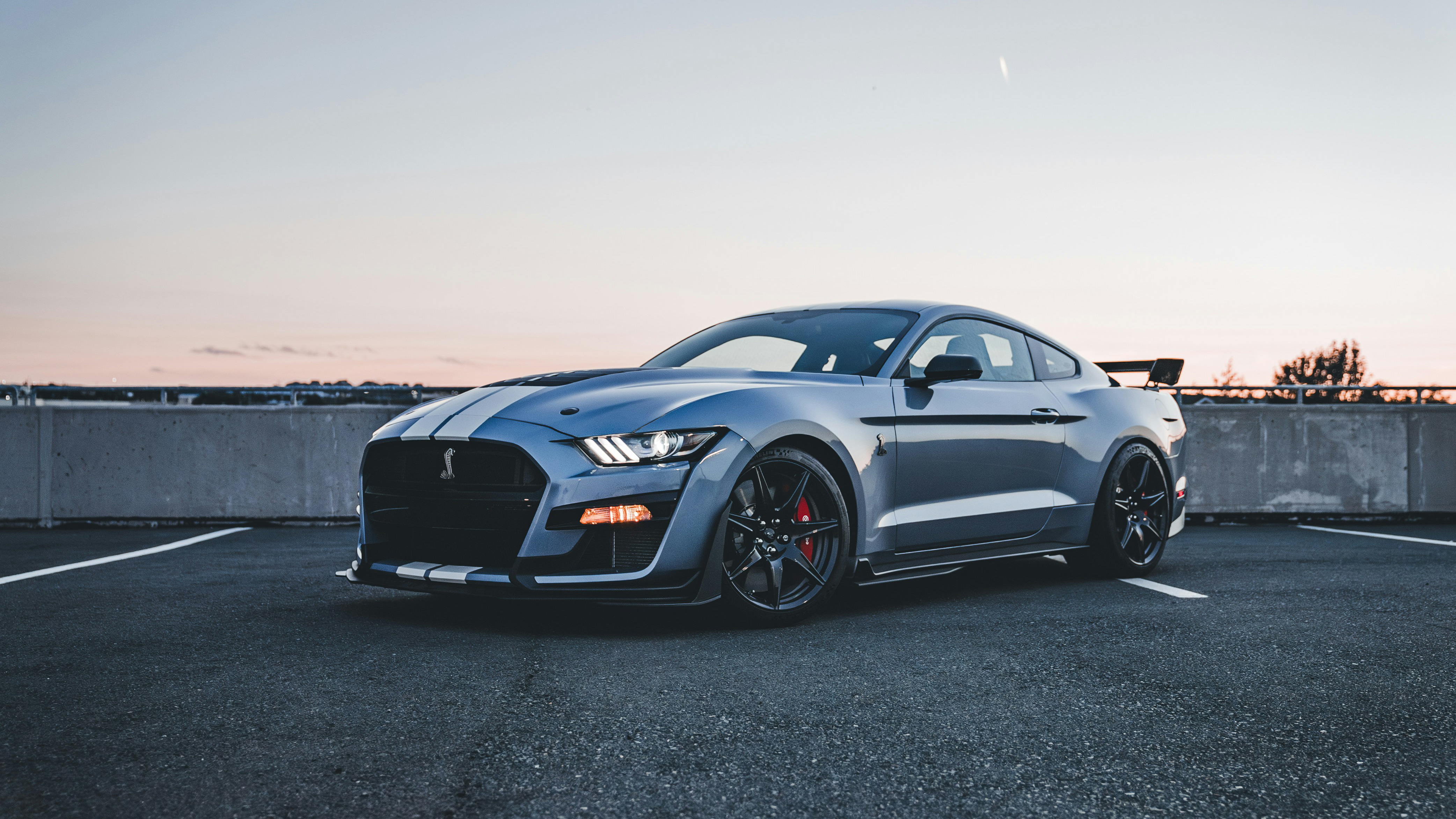 2026 Ford Mustang Shelby Gt500 Wallpaper,HD Cars Wallpapers,4k ...