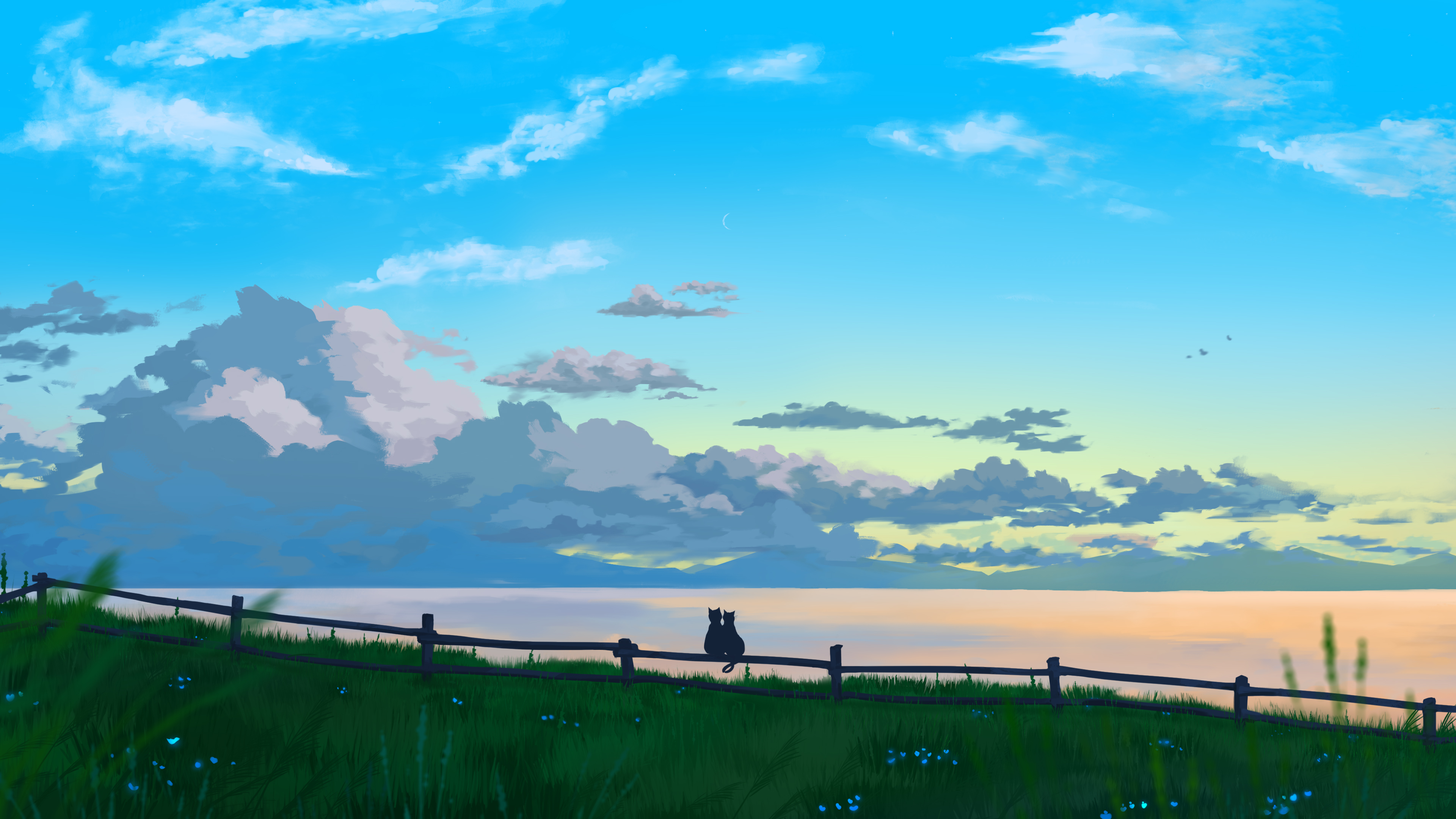 2560x1600 Cat Watching Over A Sea Of Clouds Wallpaper,2560x1600 ...