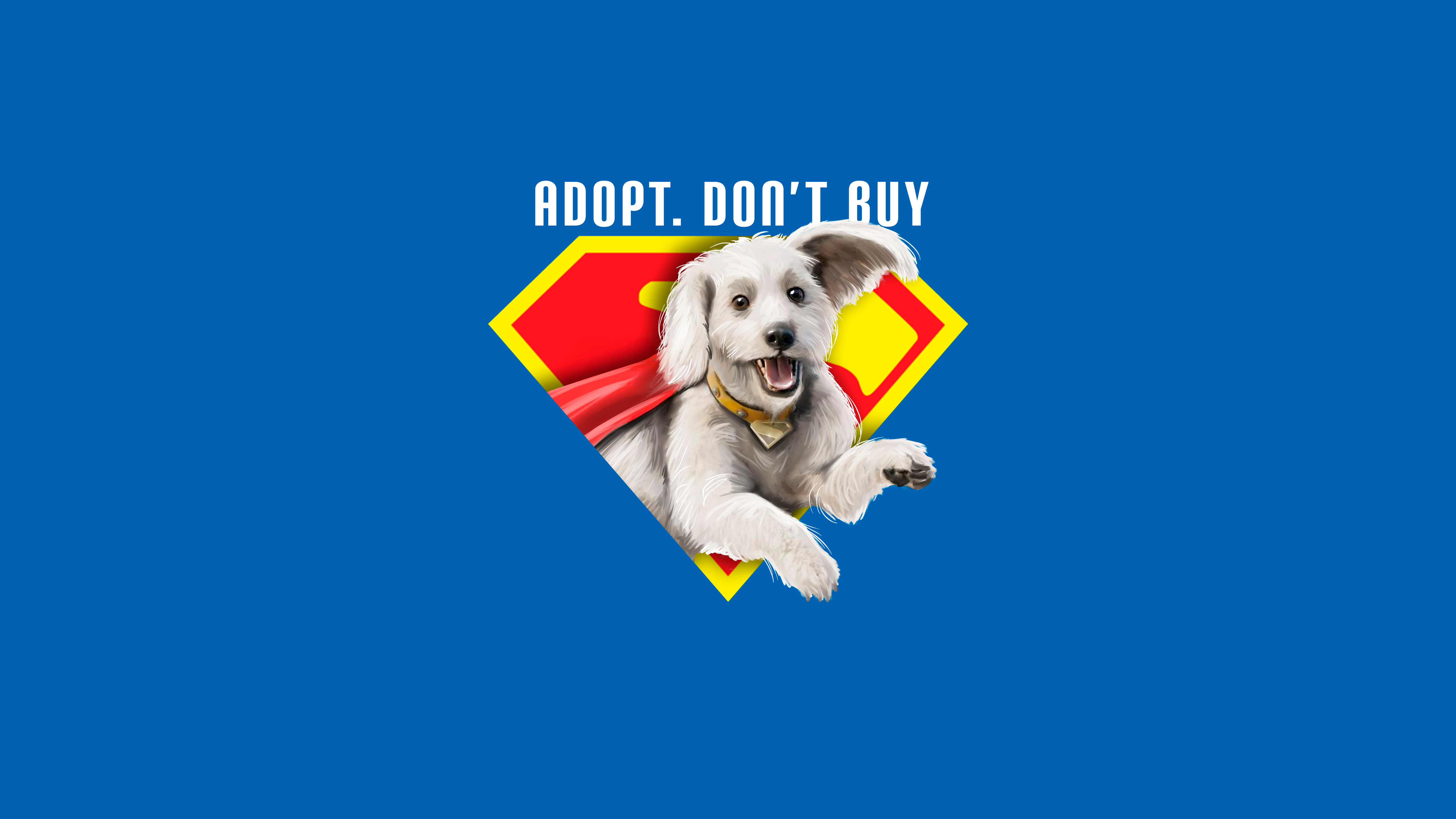 Krypto In Superman Movie 2025 Wallpaper,HD Movies Wallpapers,4k ...