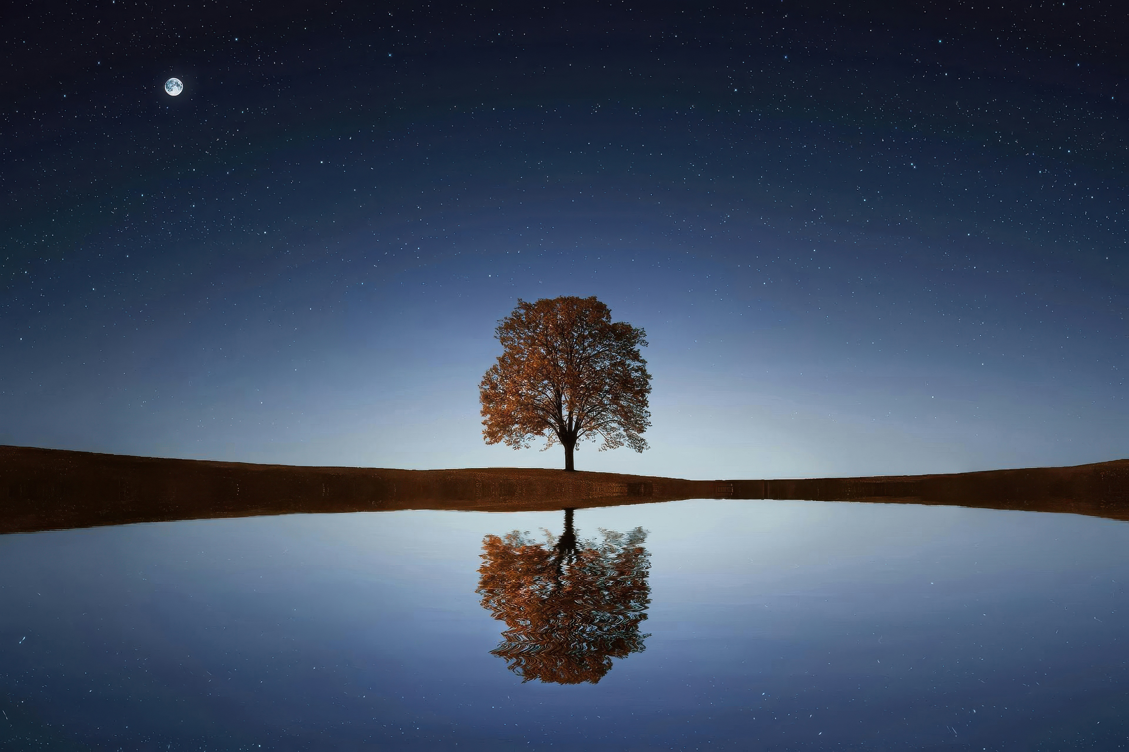 Lone Tree Mirrored On A Perfectly Still Lake Under Stars Wallpaper,HD ...