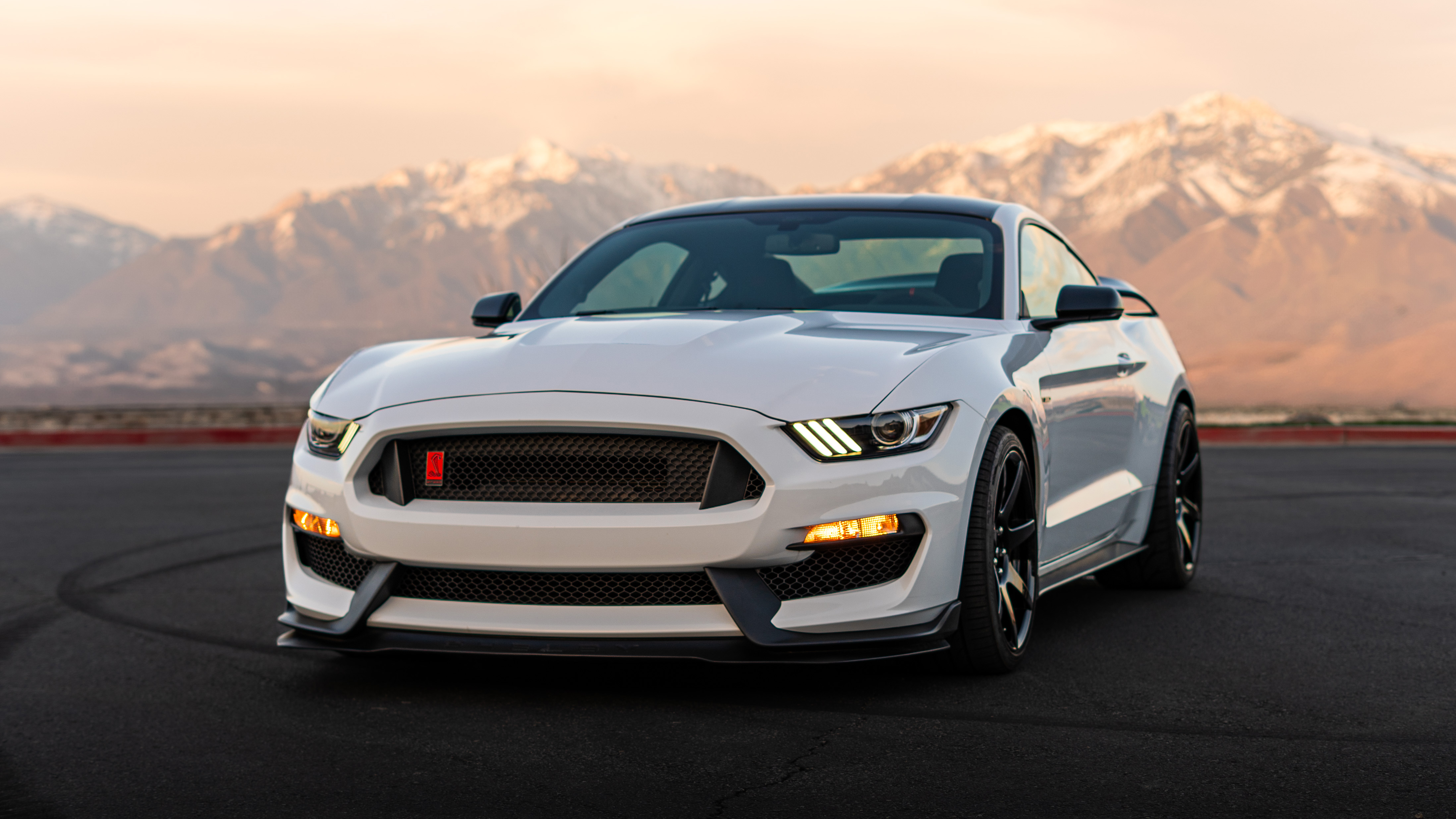 Shelby Gt350 Wallpaper,HD Cars Wallpapers,4k Wallpapers,Images ...