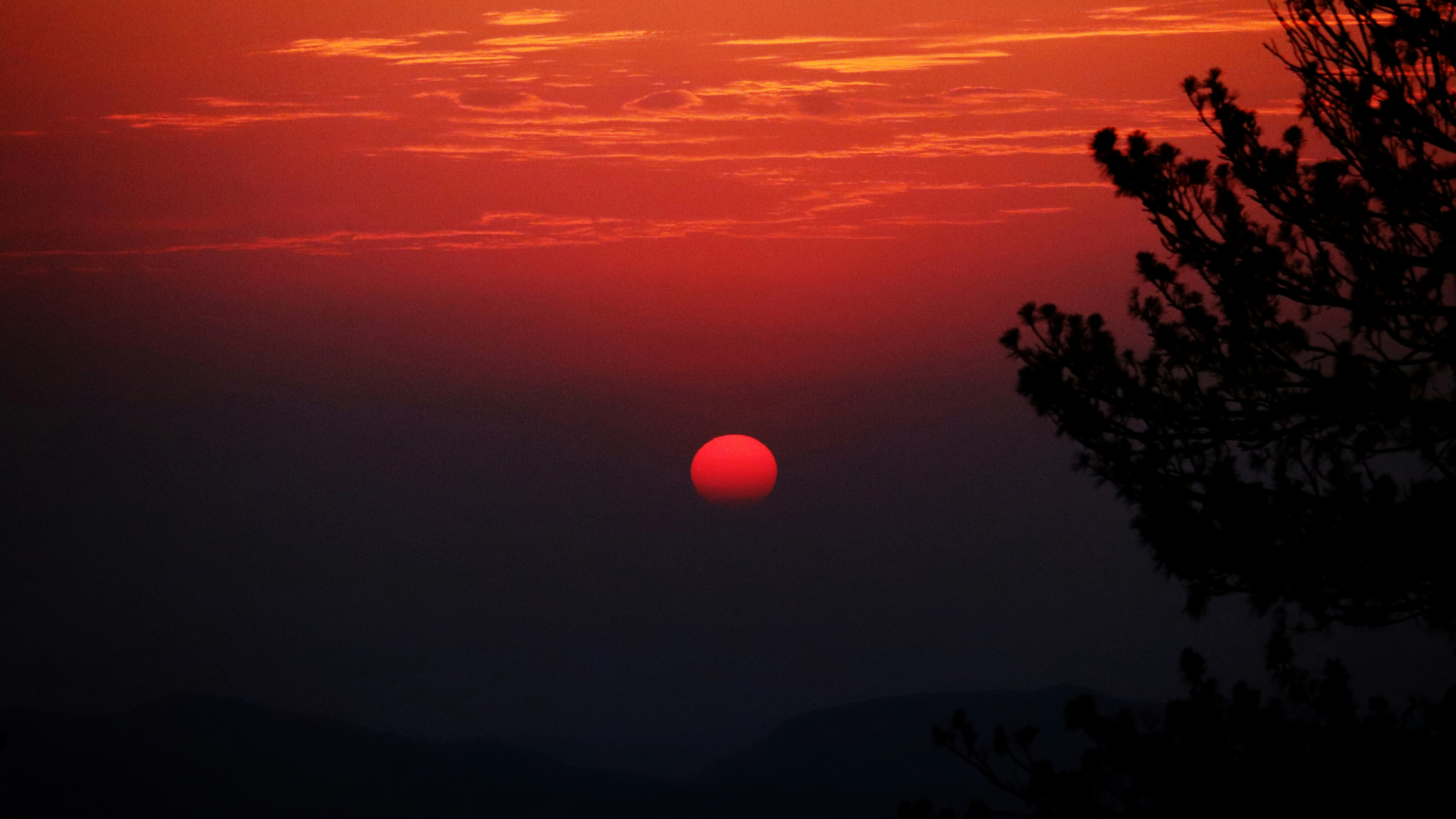 Sunset During Golden Hour Wallpaper,HD Nature Wallpapers,4k Wallpapers ...